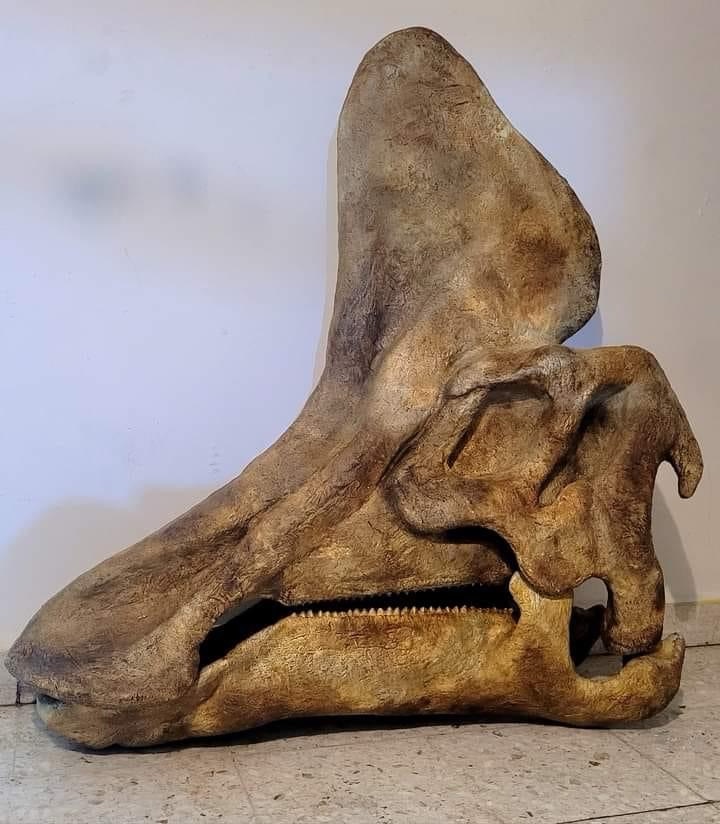 Dinosaurio del #BrazoPoderoso: Labocania anómala - Brazo poderoso